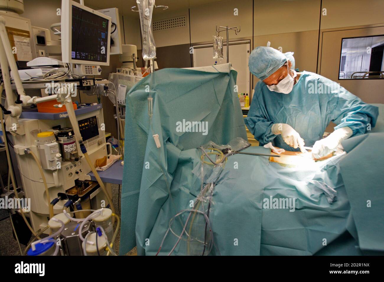 French surgeon ambroise pare hi-res stock photography and images - Alamy