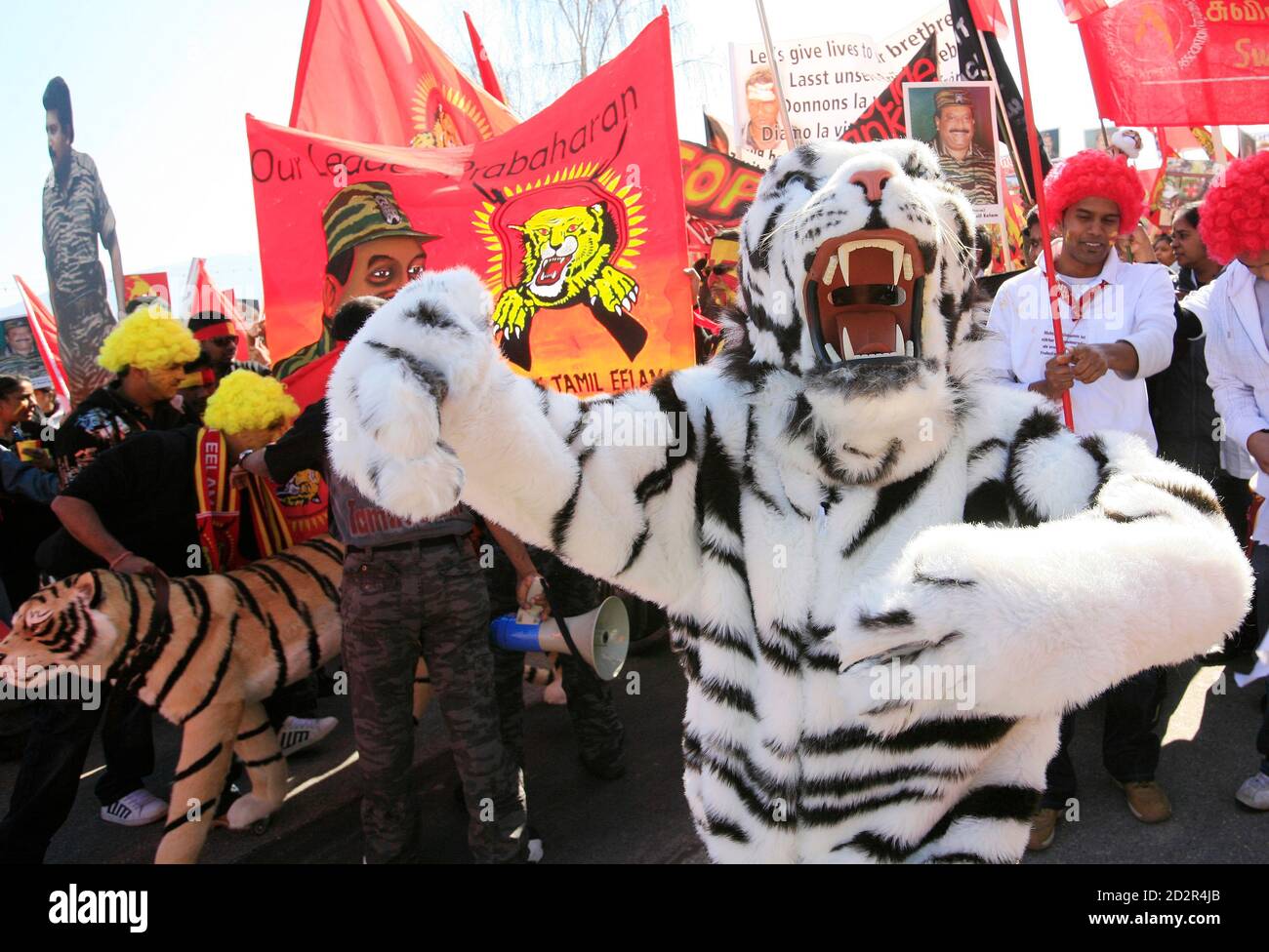 Man dressed as tiger hi-res stock photography and images - Alamy