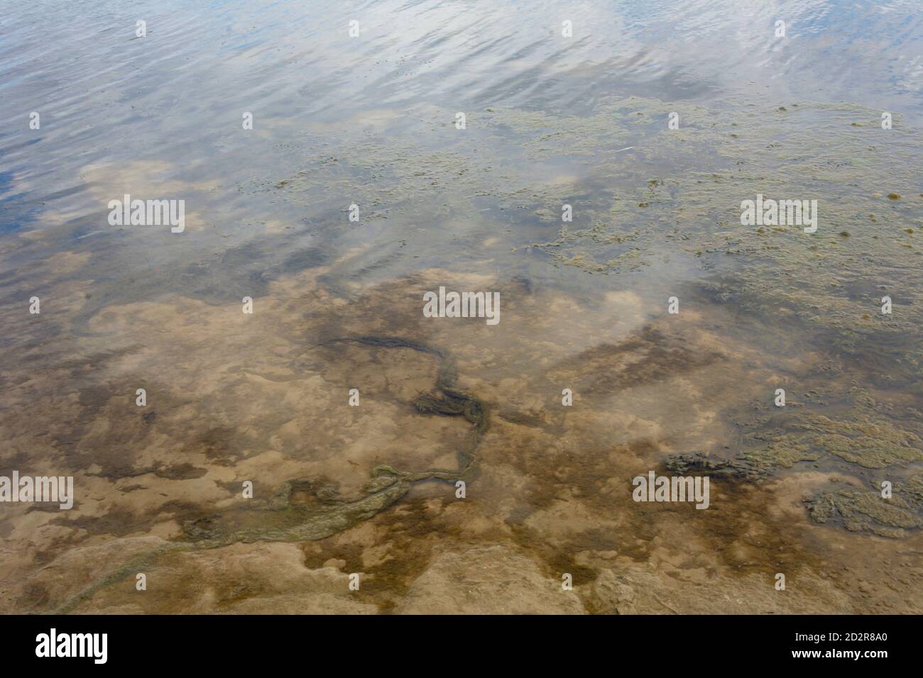 Garbage and mud in the river close-up. Ecological concept, pollution of ...