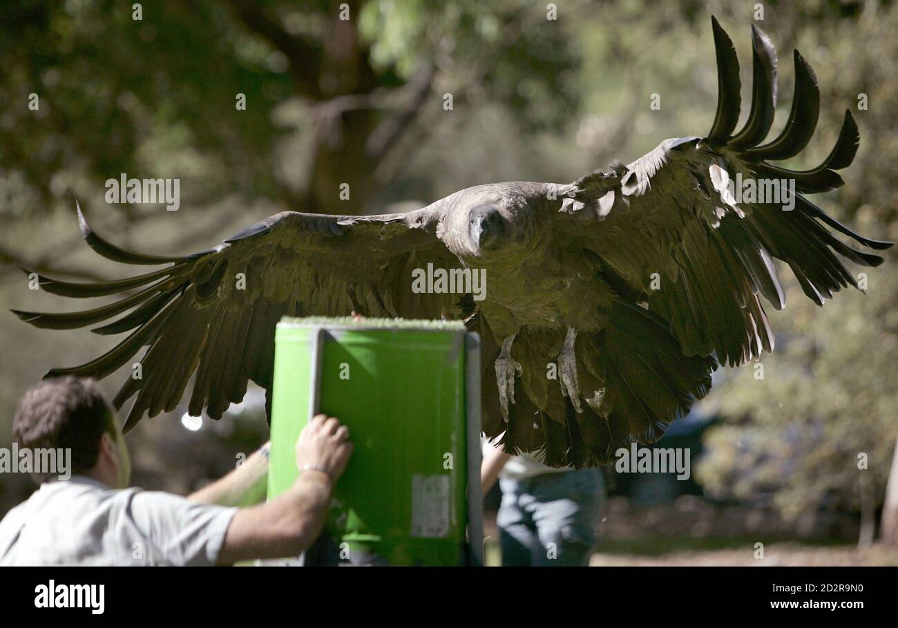 Clifton gardens australia hi-res stock photography and images - Alamy