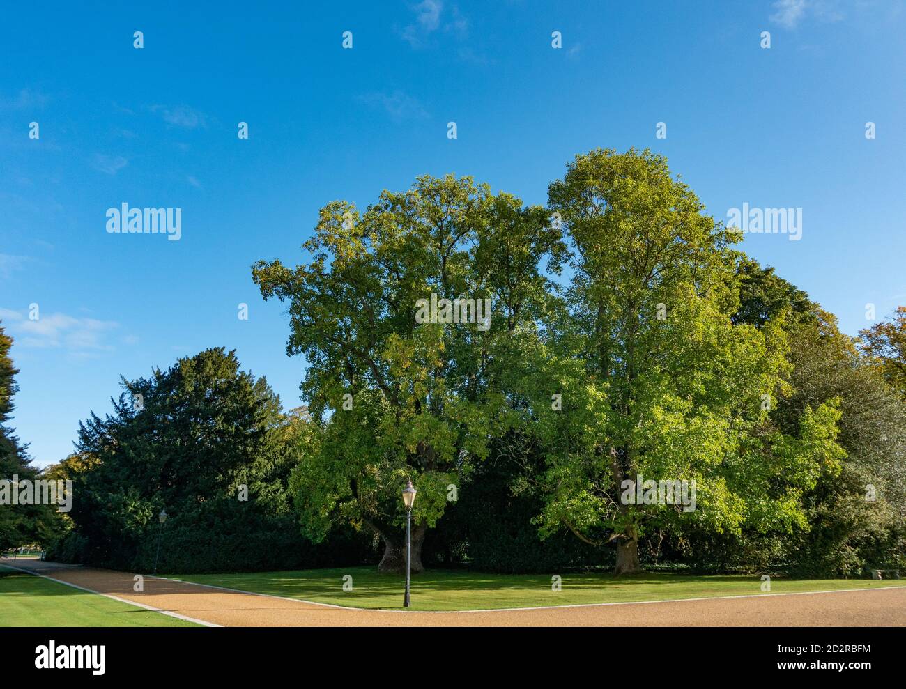 English country house driveway Stock Photo - Alamy