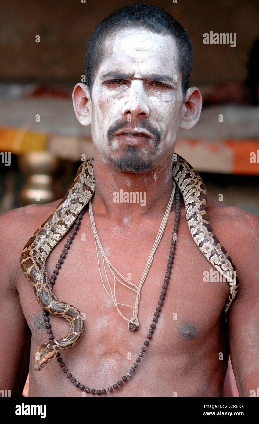 Ash snake hi-res stock photography and images - Alamy