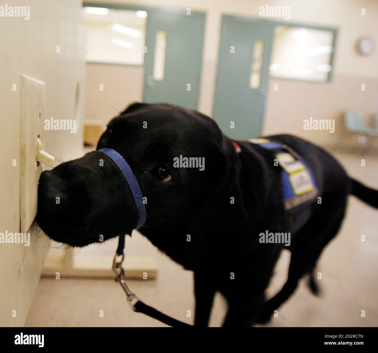 Prison train service dogs hi-res stock photography and images - Alamy