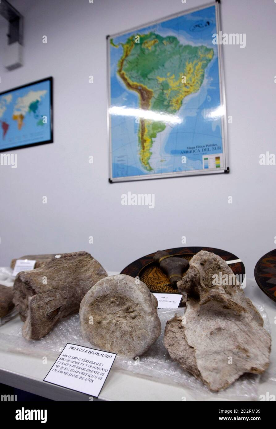 Fossils Map High Resolution Stock Photography and Images - Alamy