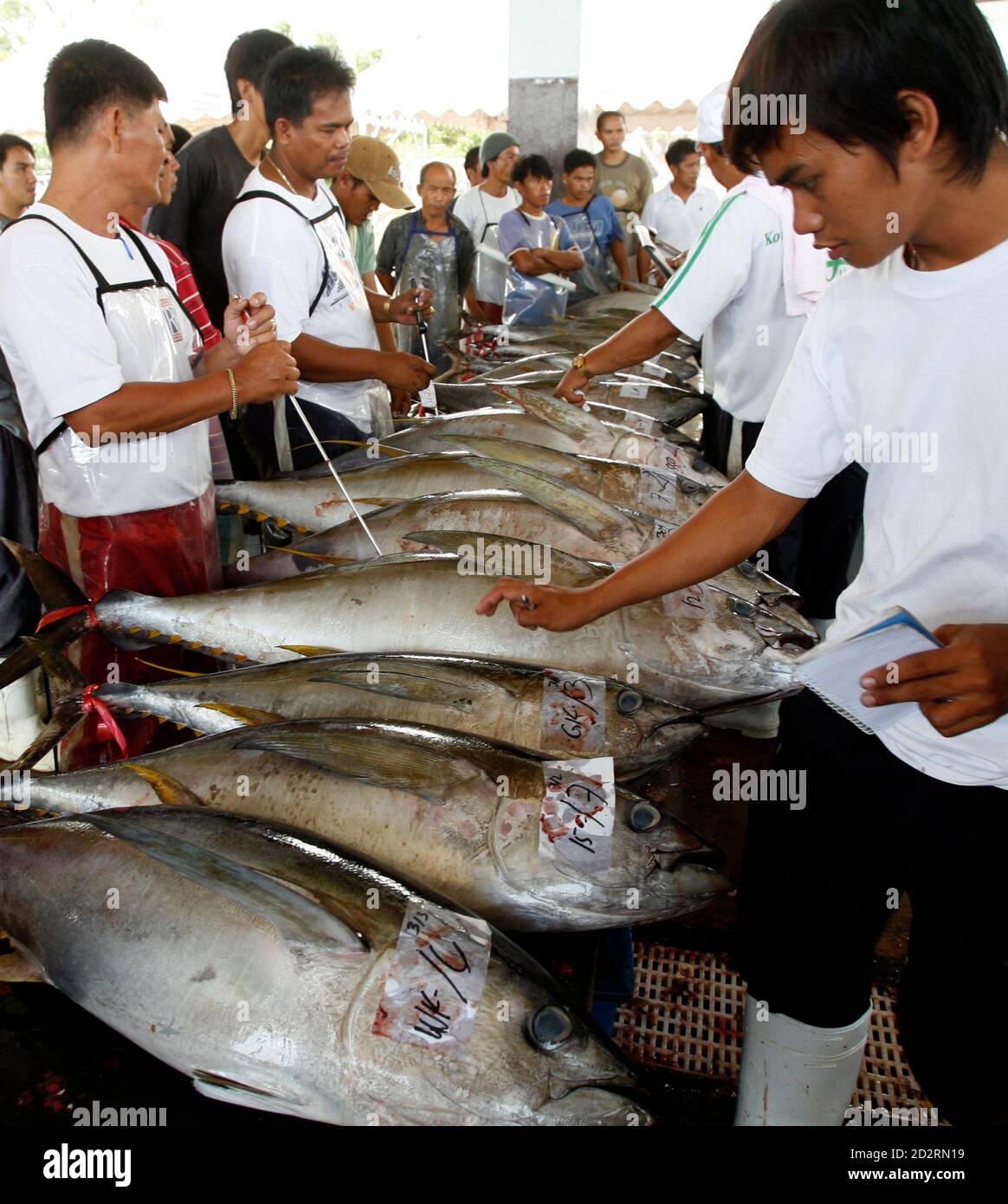 Western pacific tuna fishing hi-res stock photography and images - Alamy