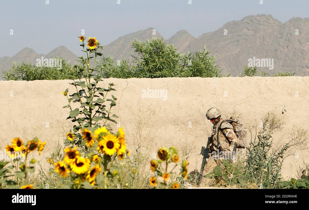 Ied Detector High Resolution Stock Photography and Images - Alamy
