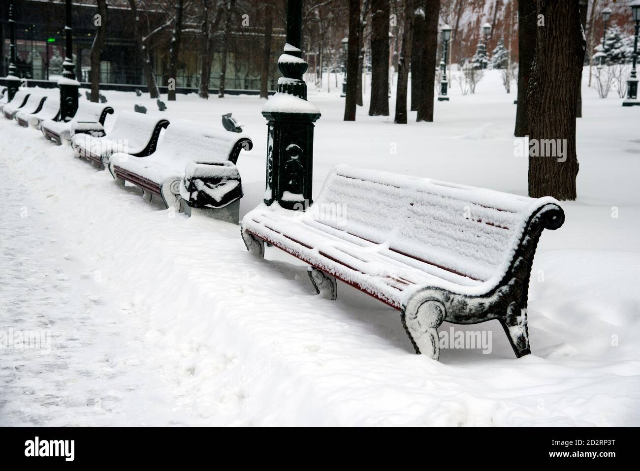 Empty wooden benches under snow. Alexander garden, Moscow Stock Photo ...