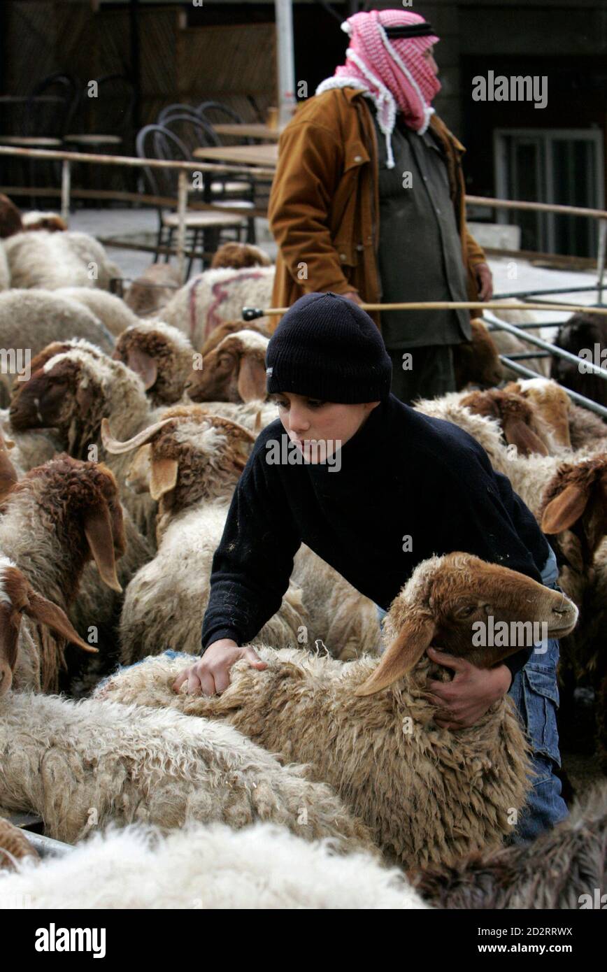 Al baqaa jordan hi-res stock photography and images - Alamy