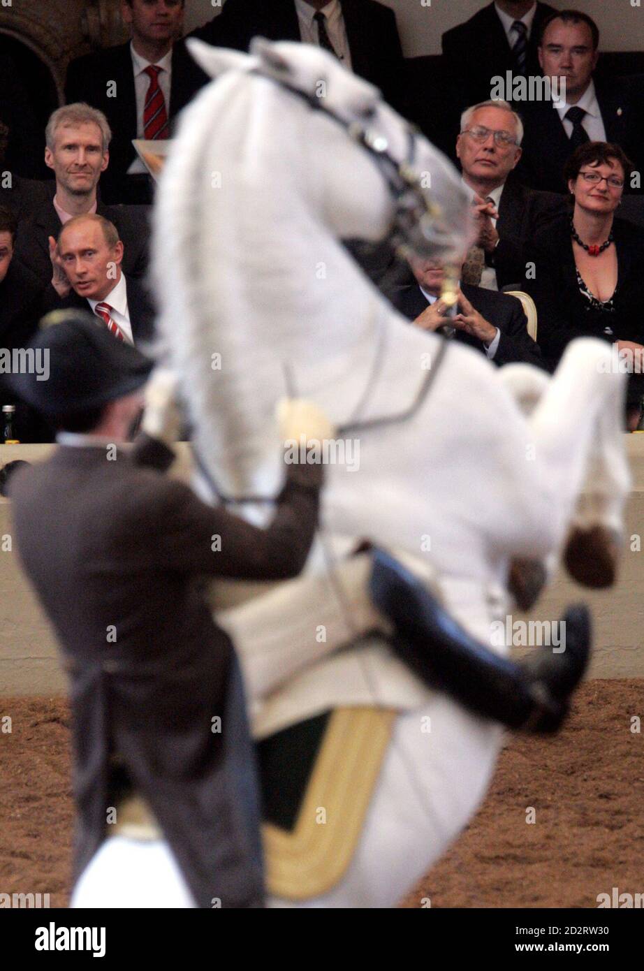 Vladimir Putin Horse High Resolution Stock Photography and Images - Alamy
