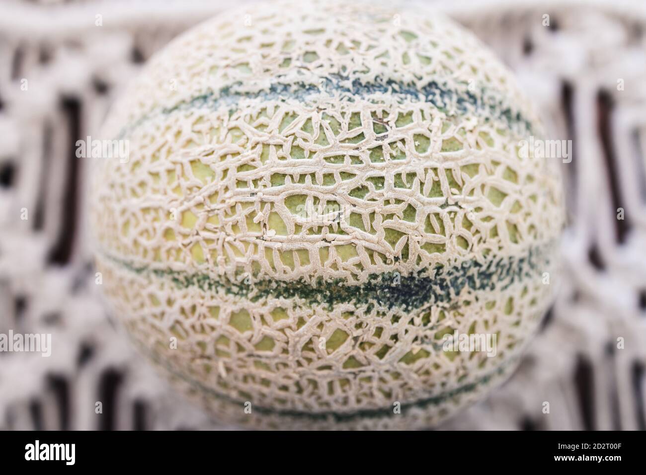 simple food ingredients concept, close-up of whole rockmelon Stock ...