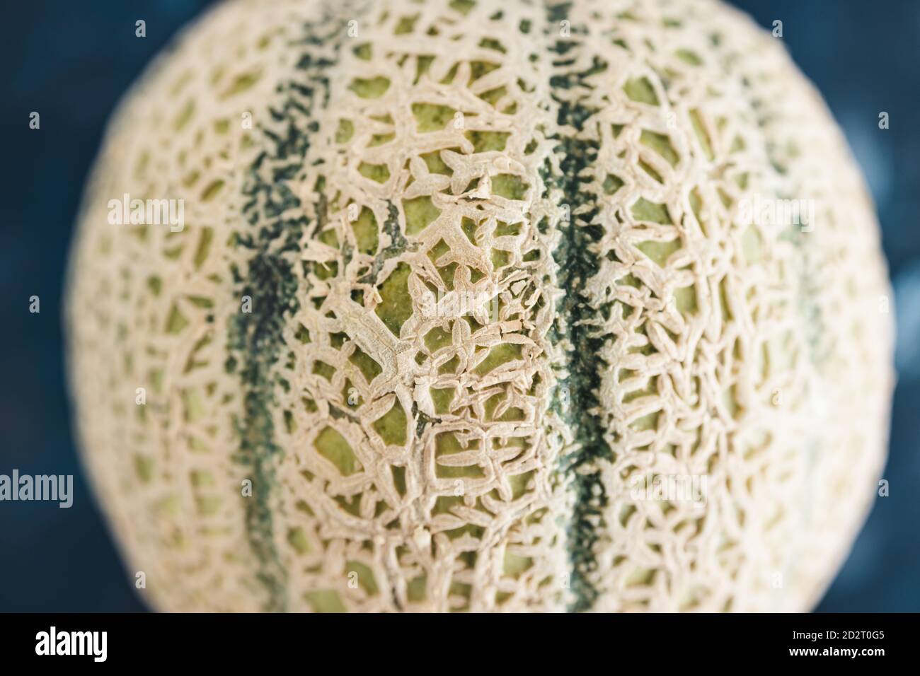 simple food ingredients concept, close-up of whole rockmelon Stock ...