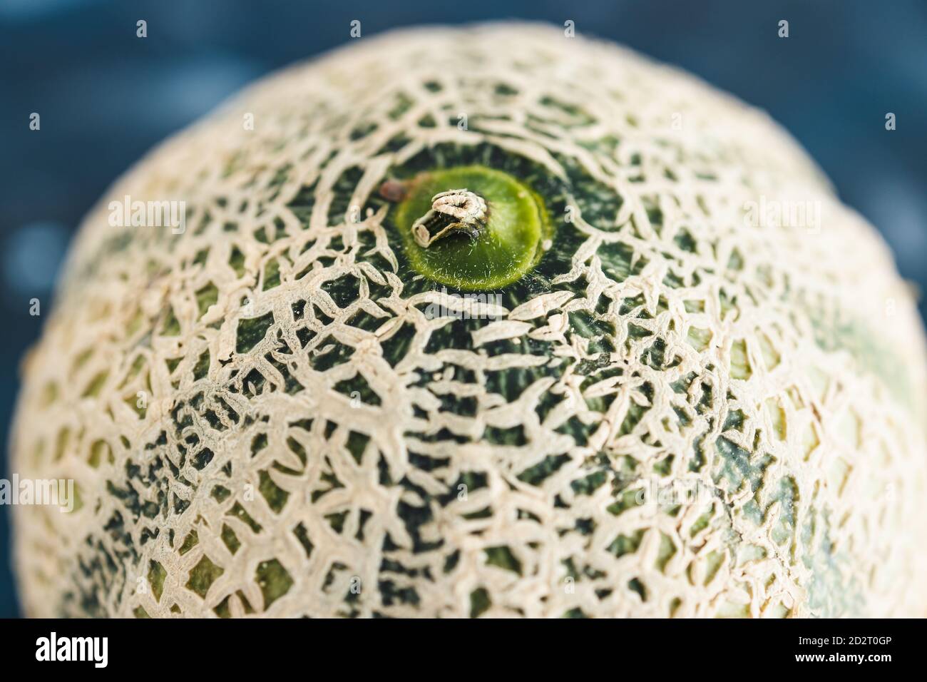 simple food ingredients concept, close-up of whole rockmelon Stock ...