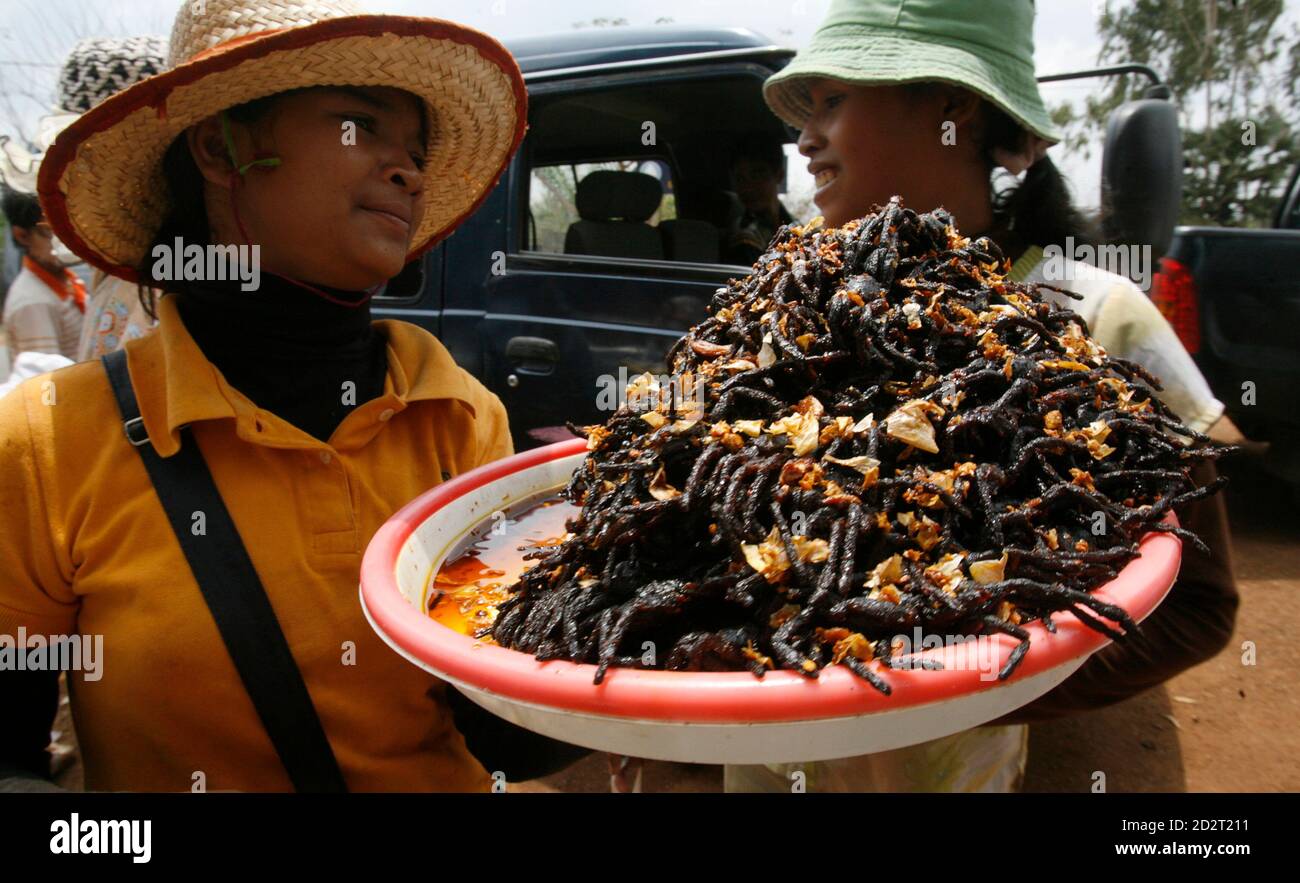 Crunchy spiders hi-res stock photography and images - Alamy