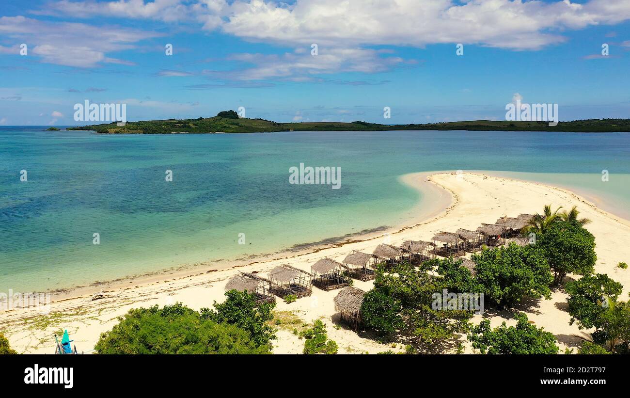 Coconut trees on a white beach. Cotivas Island Cottage. Caramoan ...