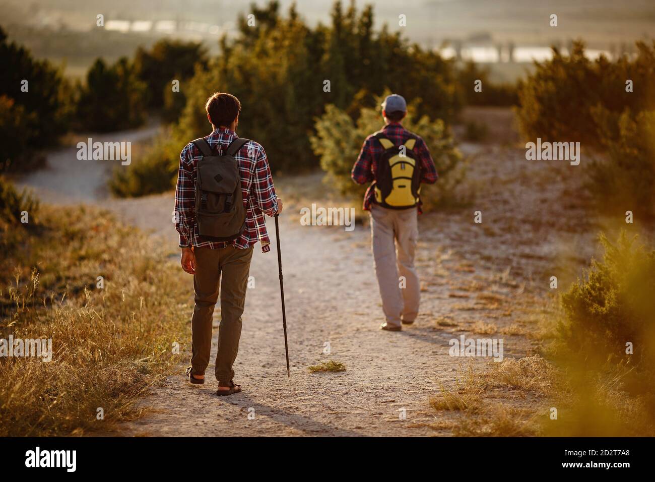 two men hikers enjoy a walk in nature, sunset time in summer. enjoying ...