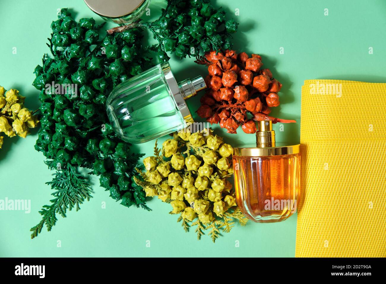 Top view of shiny glass bottles of handmade luxury perfume arranged on ...