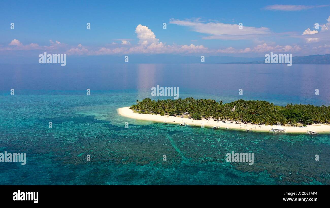 Summer beach landscape. Tropical island view, palm trees with amazing ...