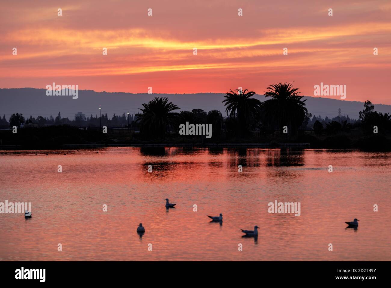 Vibrant Sunset over Duck Pond Stock Photo - Alamy