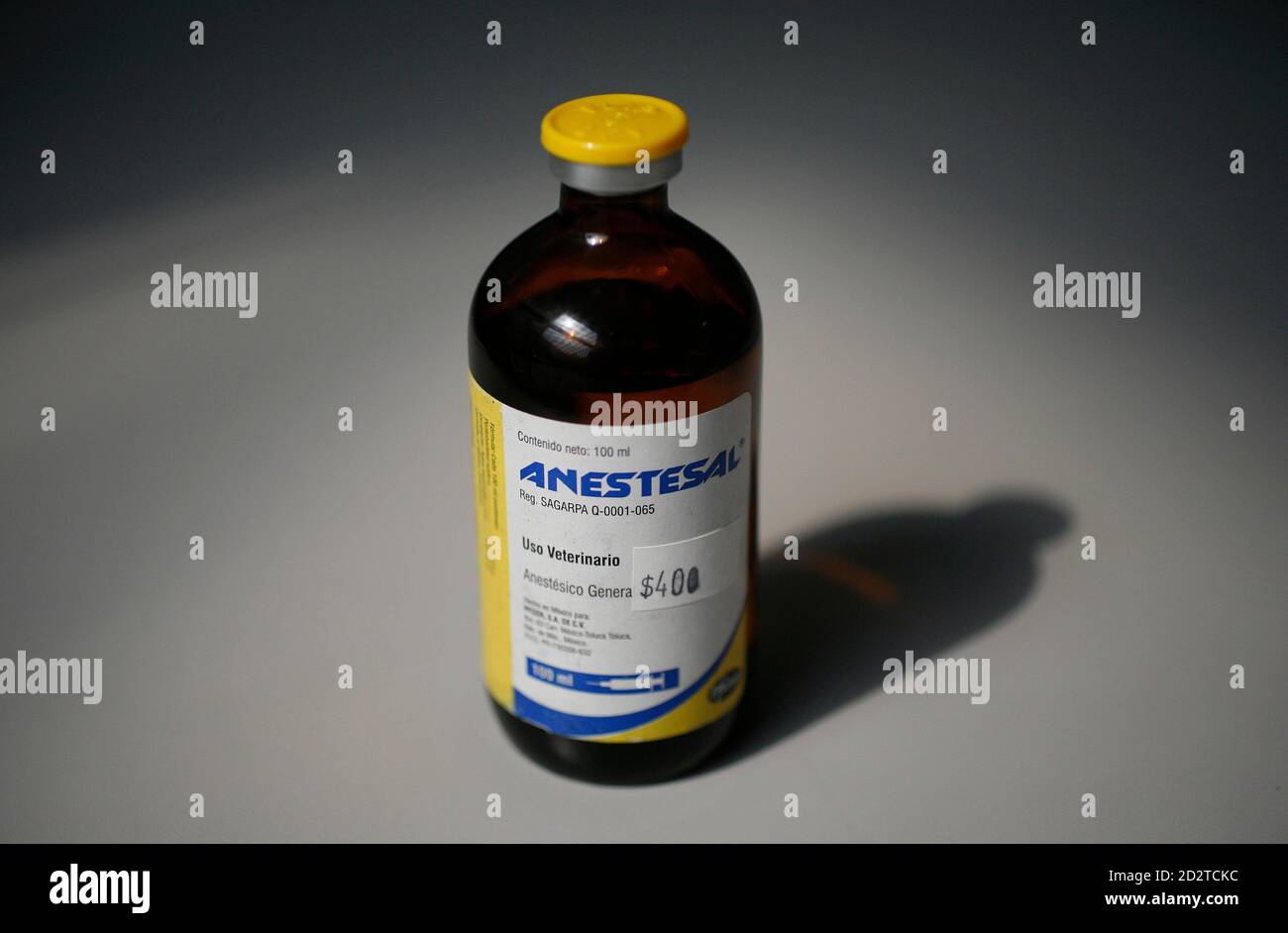 Pentobarbital hi-res stock photography and images - Alamy
