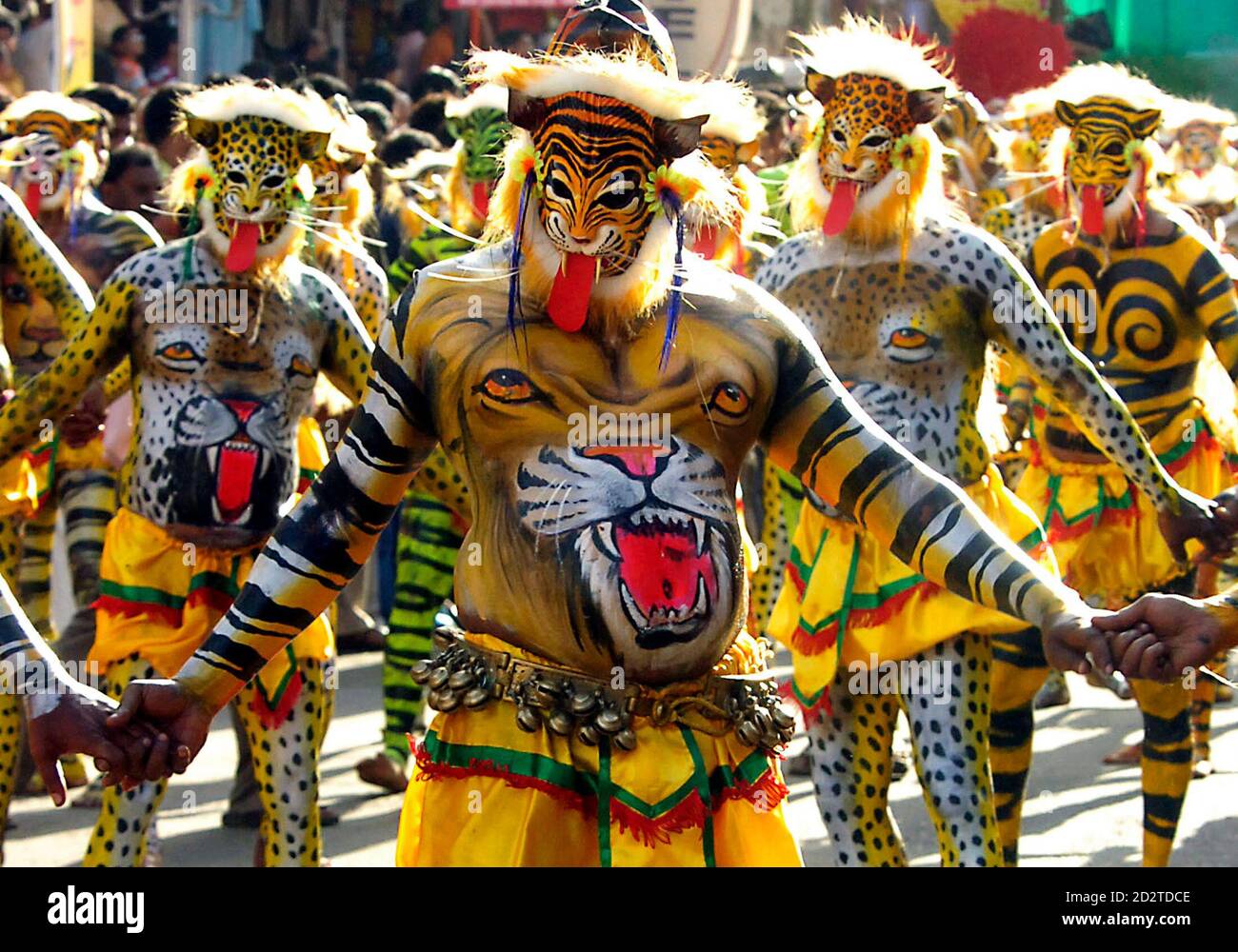 Traditional tiger dance in kerala during onam festival hi-res stock ...