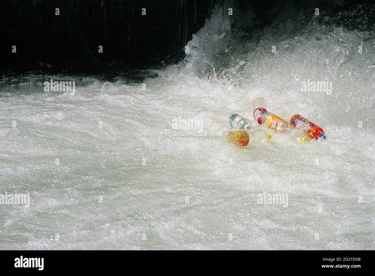 Italy, Lombardy, Province of Cremona, Water Pollution Stock Photo - Alamy