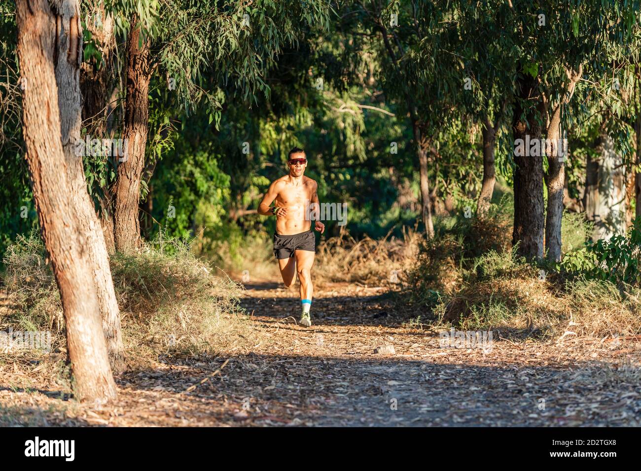 Fast athlete running in forest hi-res stock photography and images - Alamy
