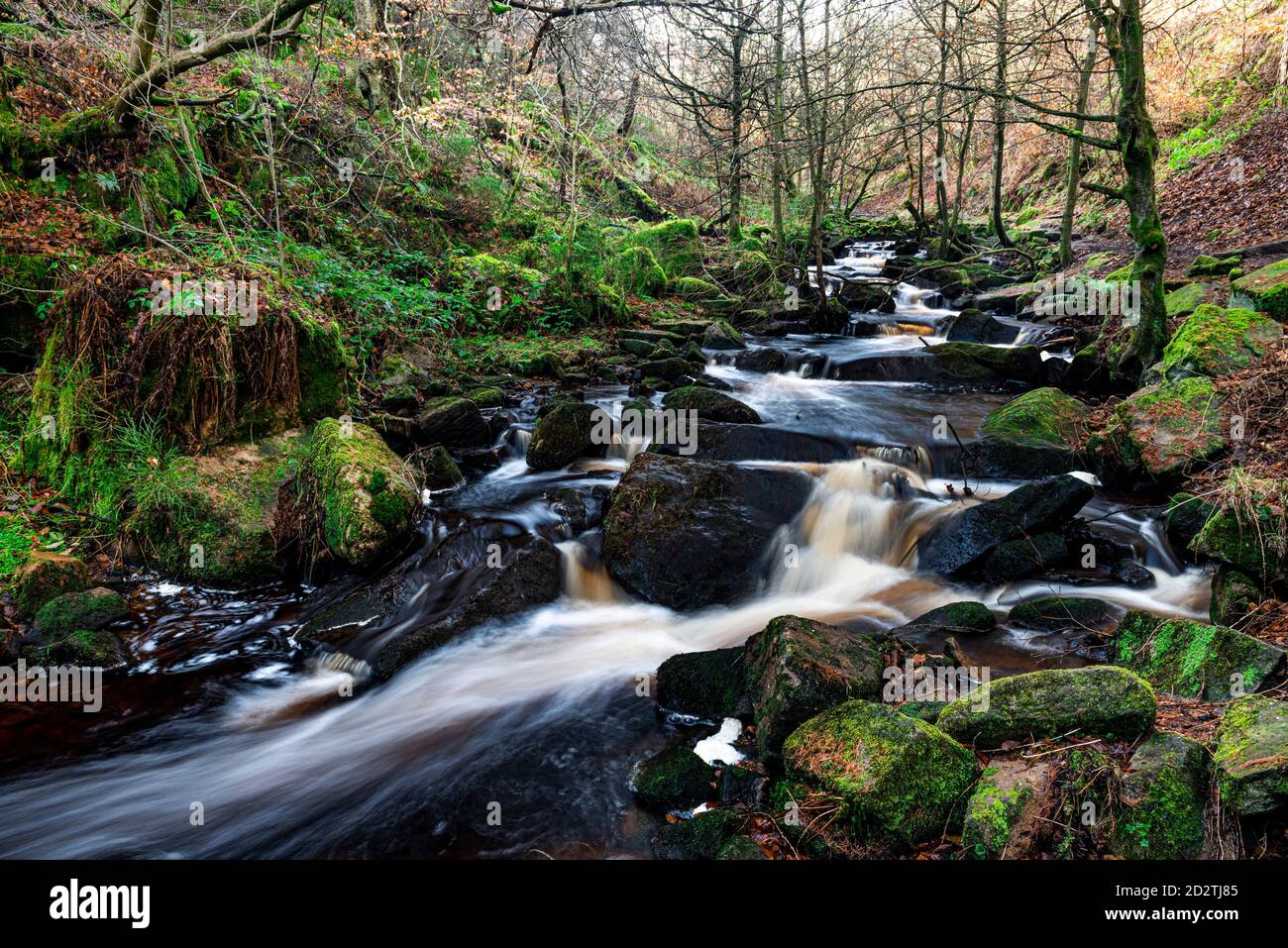 Wyming Brook Nature Reserve ,peak district.Sheffield,England,UK Stock ...