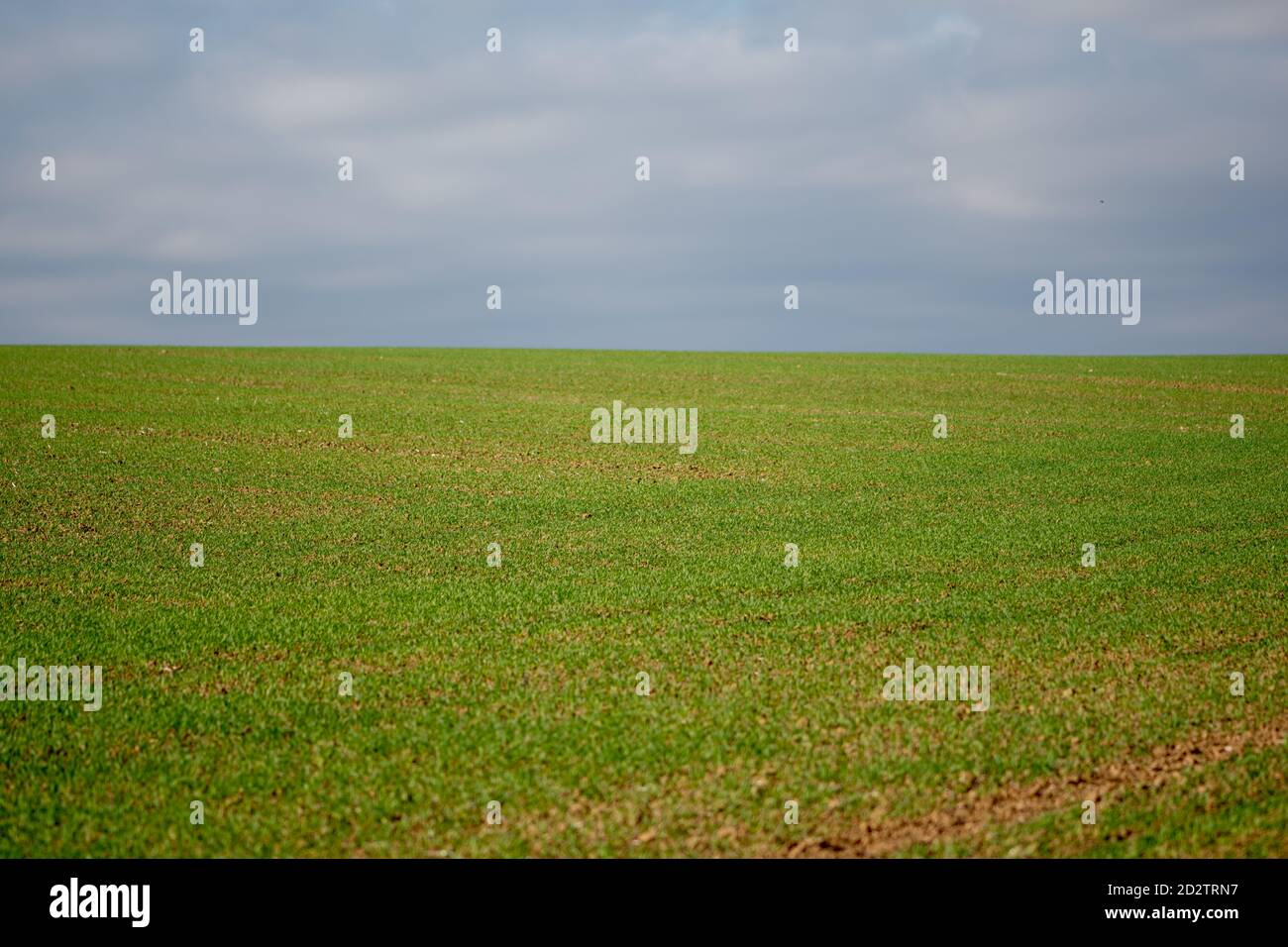 beautiful rural landscape in vibrant colors copy space Stock Photo - Alamy