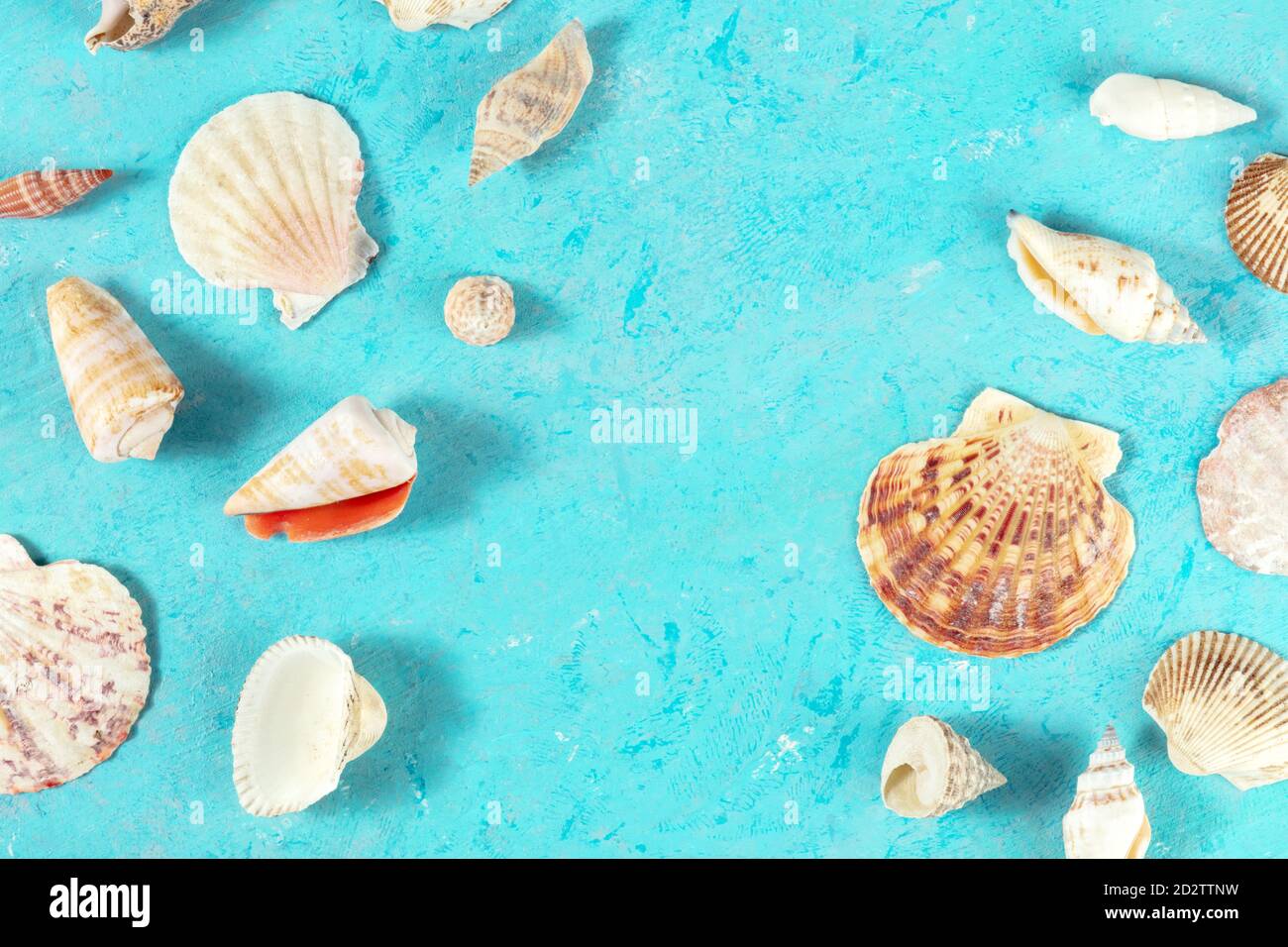 Ocean design template with copy space, sea shells, shot from the top on ...