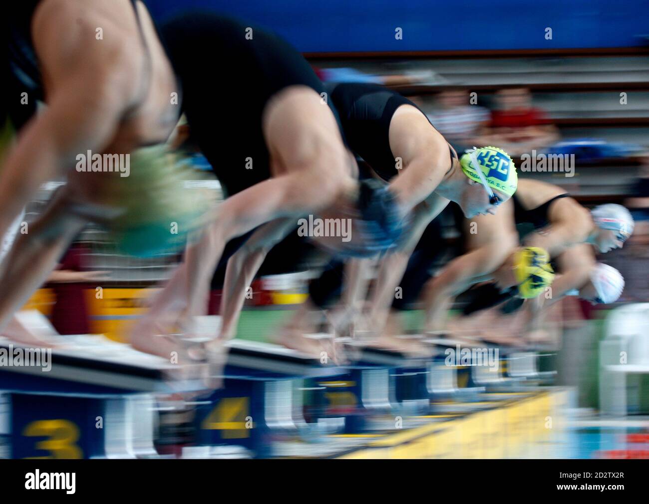 100 Metre Butterfly High Resolution Stock Photography and Images - Alamy