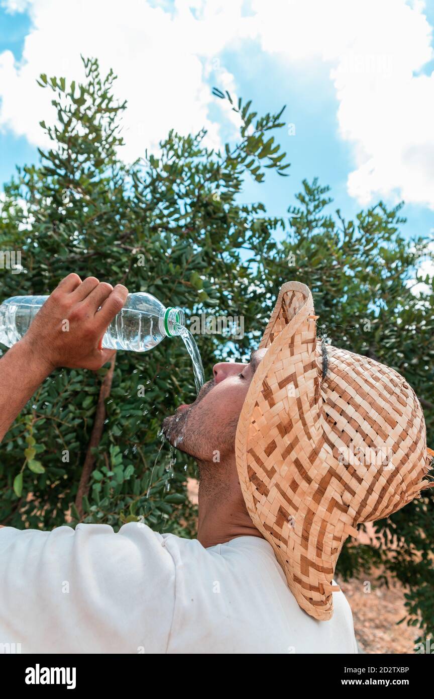 Side view of male farmer in hat drinking fresh water from plastic ...