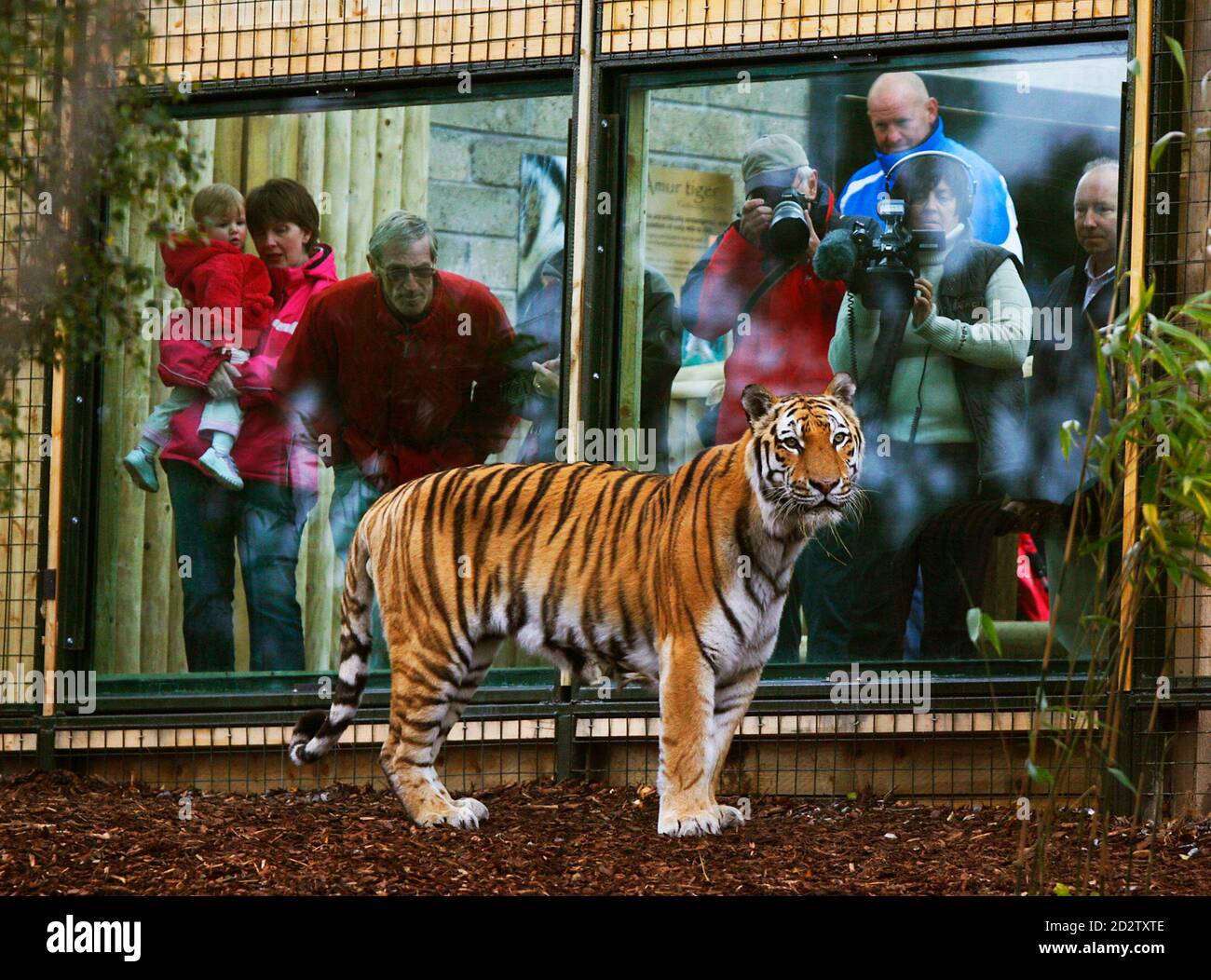 Scottish wildlife photograph hi-res stock photography and images - Alamy