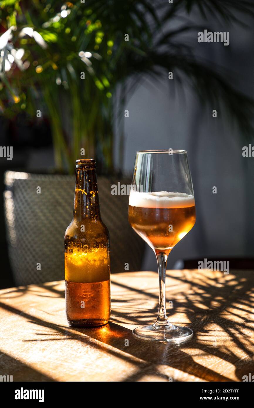 Glass goblet of cold foamy beer placed near open bottle on wooden table ...