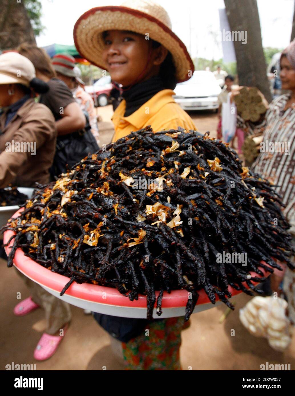 Crunchy spiders hi-res stock photography and images - Alamy
