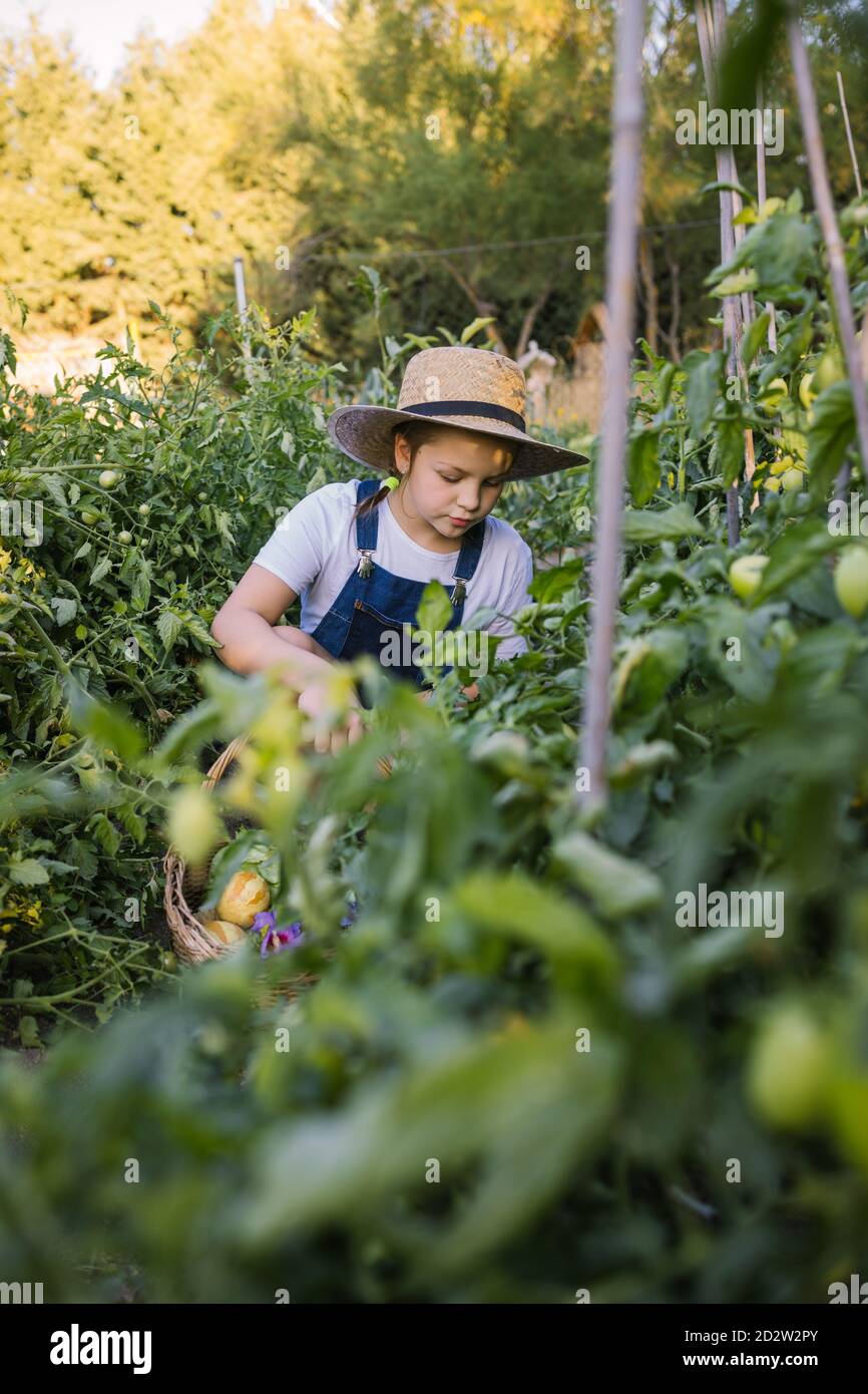 Side view of cute kid in straw hat standing in lush garden and ...