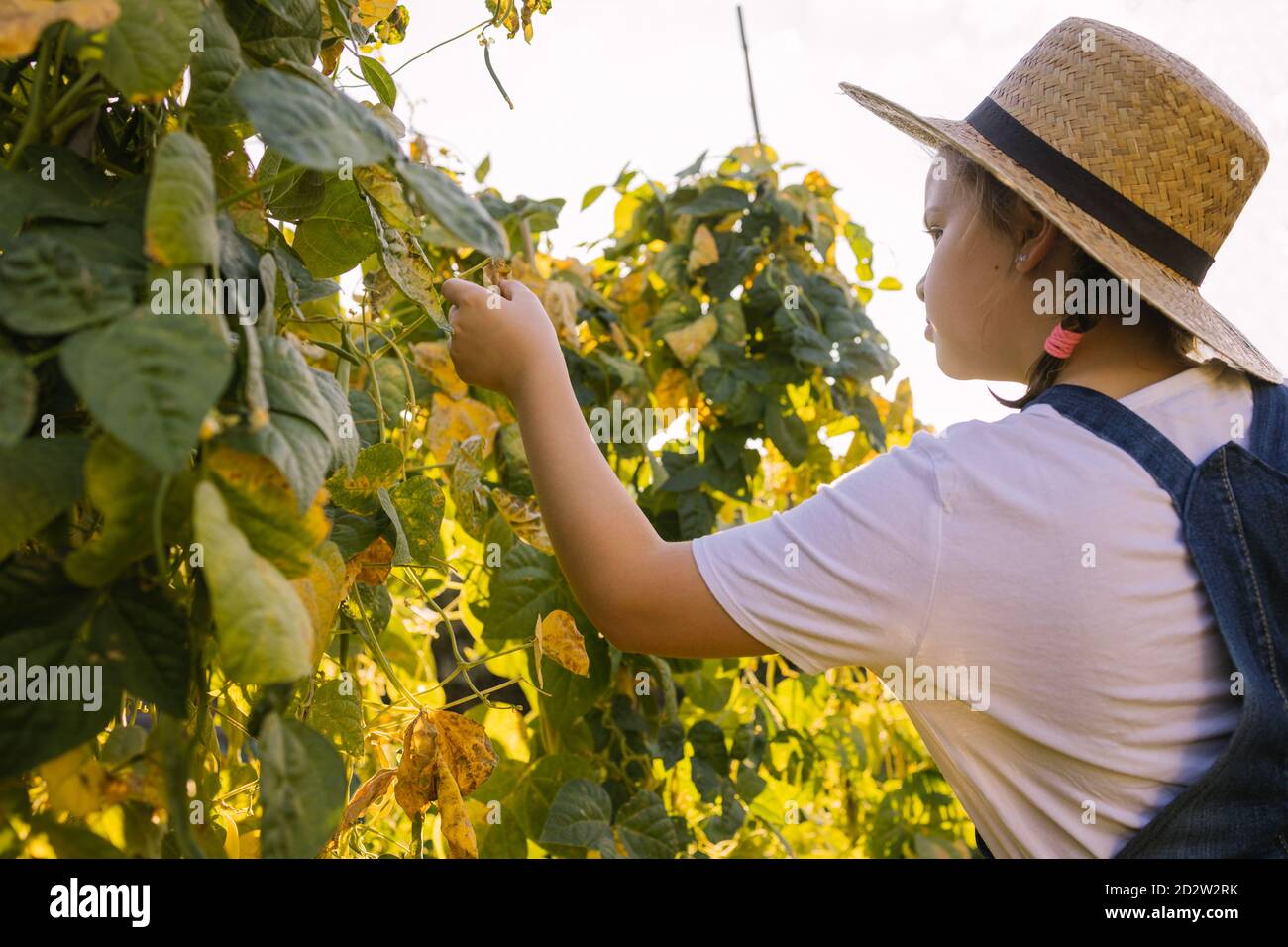 Side view of cute kid in straw hat standing in lush garden and ...
