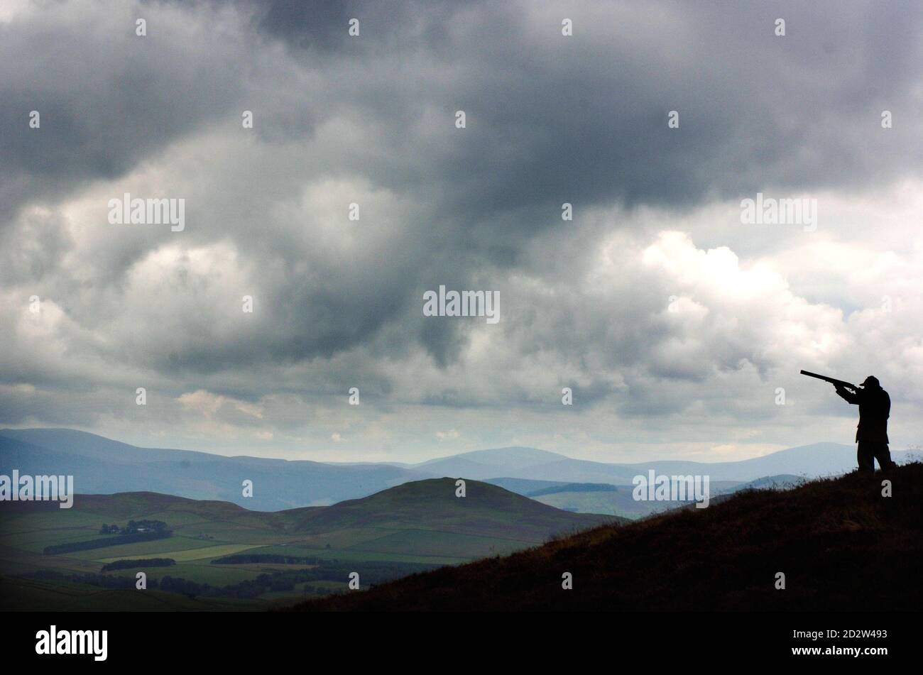The start of the grouse shooting season hi-res stock photography and ...