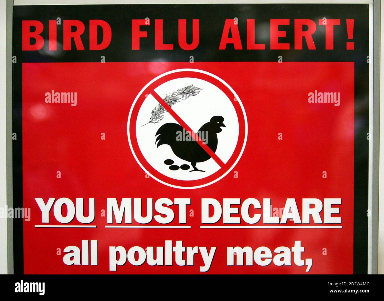 Free birds screening hi-res stock photography and images - Alamy