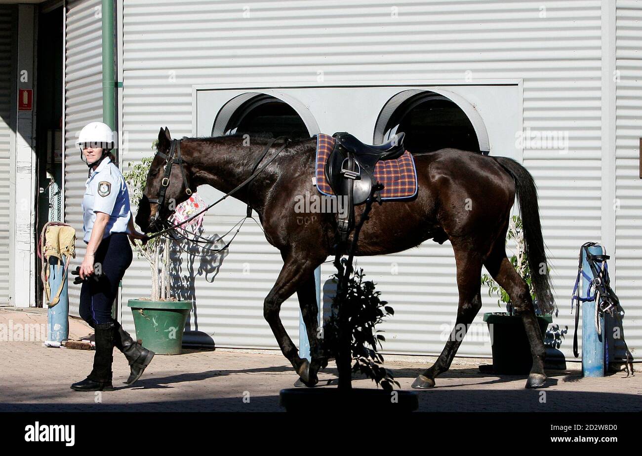 Australian mounted police hi-res stock photography and images - Alamy