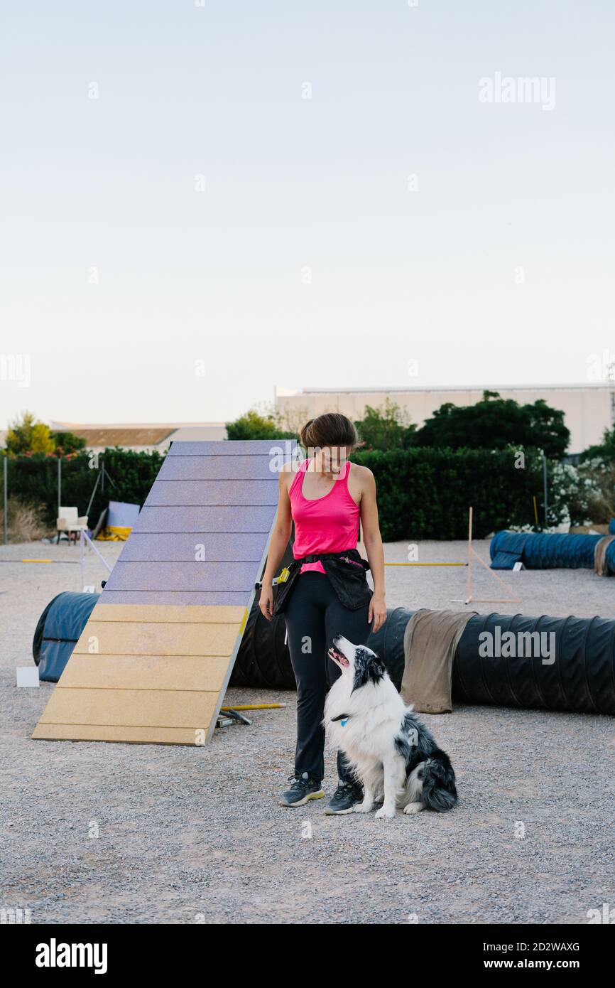Dog park agility equipment hi-res stock photography and images - Alamy