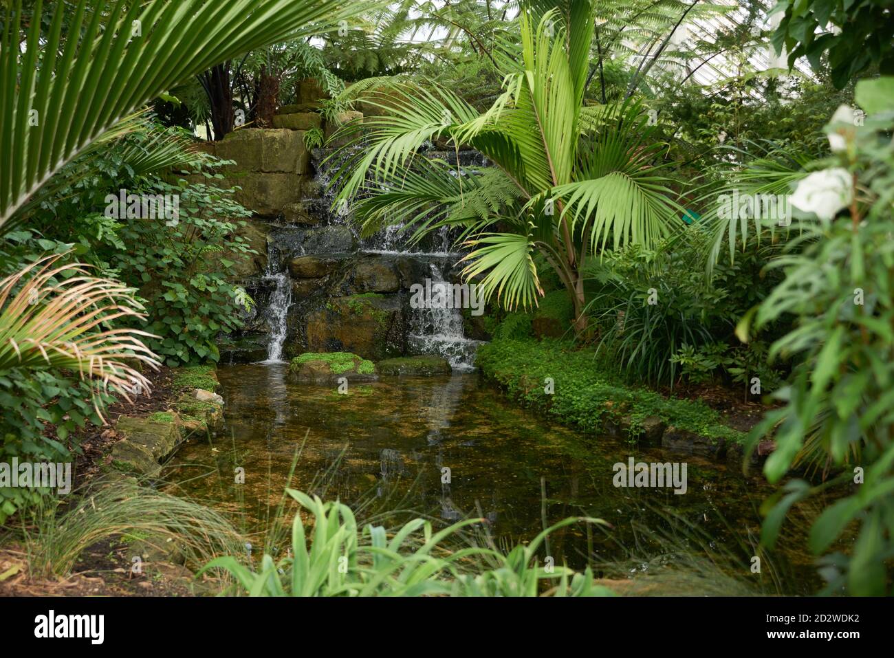 Royal Botanic Gardens. Inside The Temperate House at Kew Gardens London ...