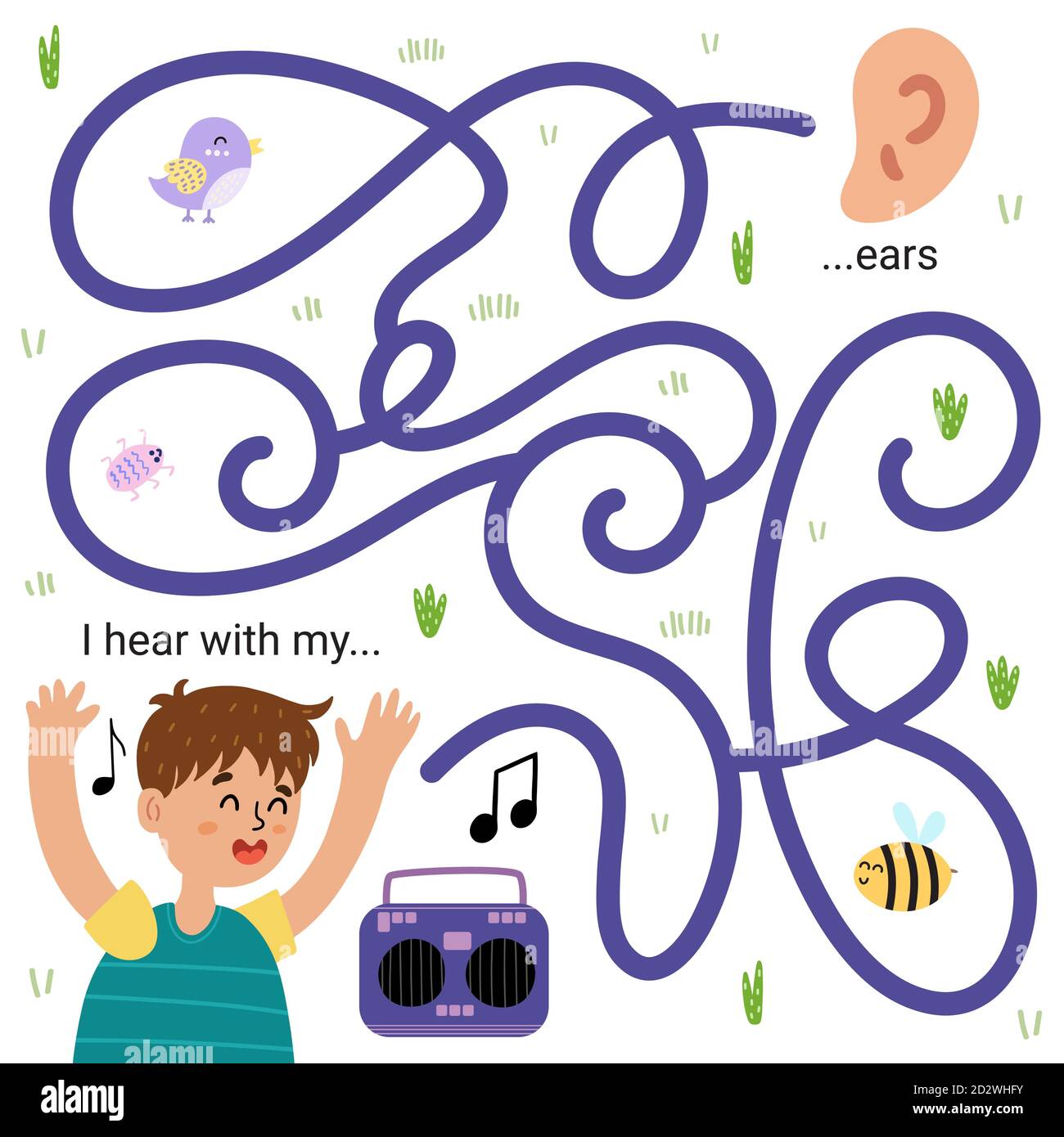 Five senses Cut Out Stock Images & Pictures - Alamy