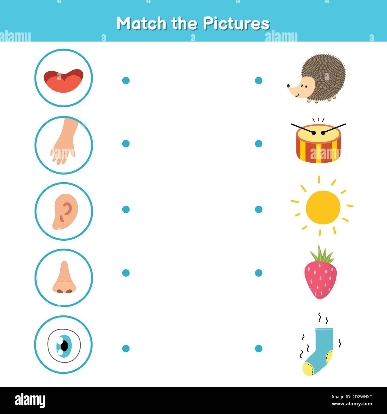 Five senses matching game for kids. Sight, touch, hearing, smell and ...