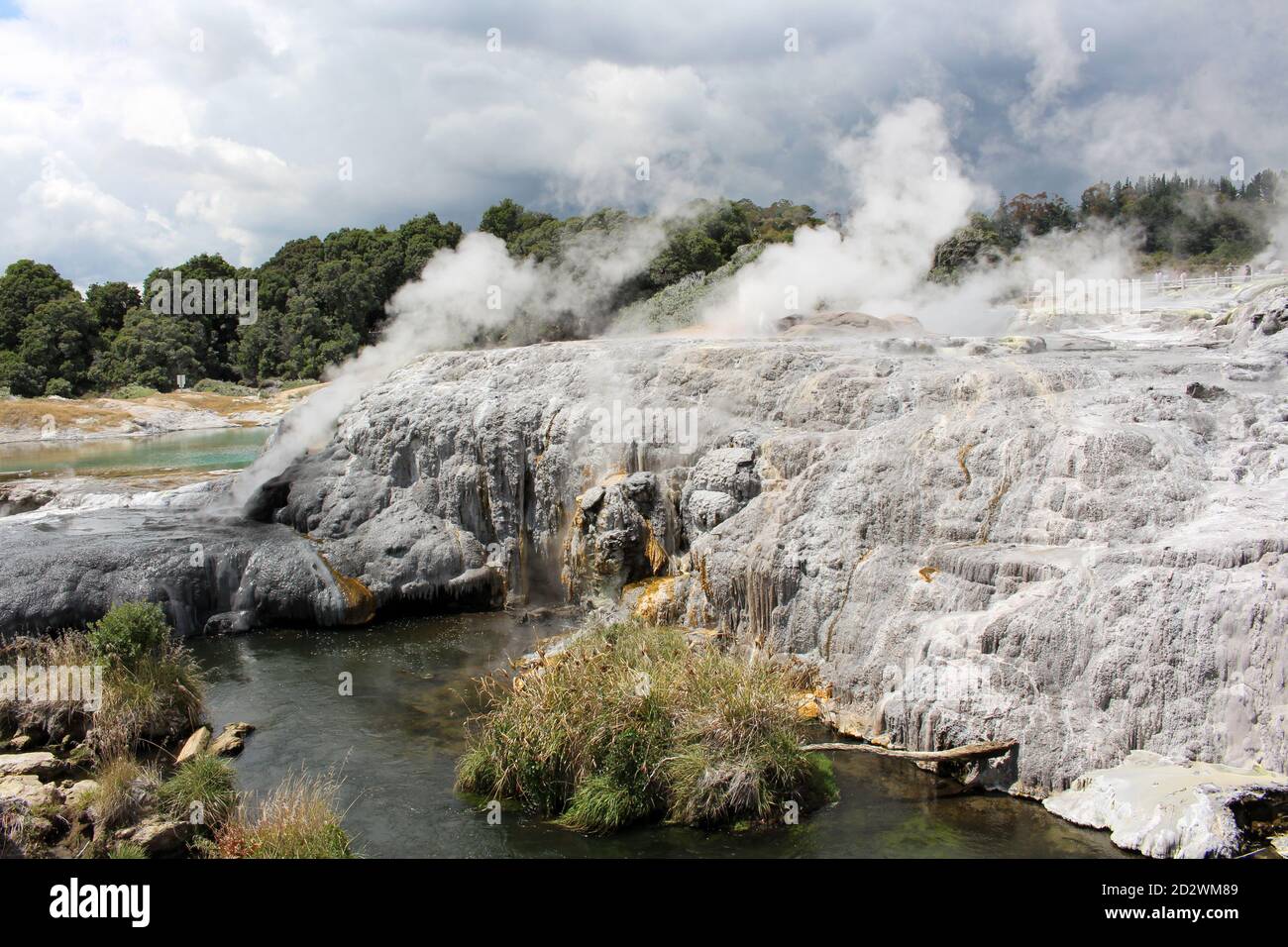 Pohutu geyser Whakarewarewa Thermal Valley, Rotorua Stock Photo - Alamy