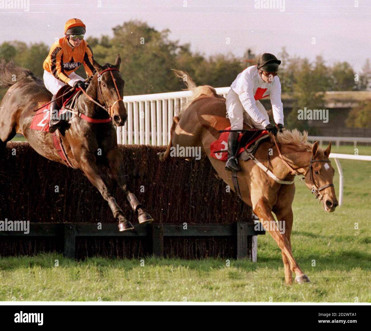 Jockey Adrian Maguire (right) was the man in form at Wetherby Races ...