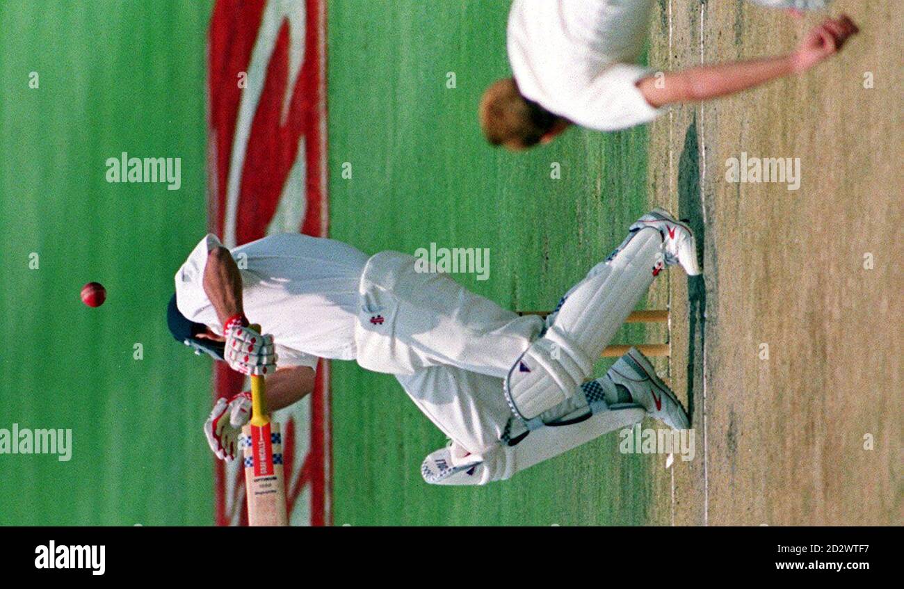 Pollock head hi-res stock photography and images - Alamy