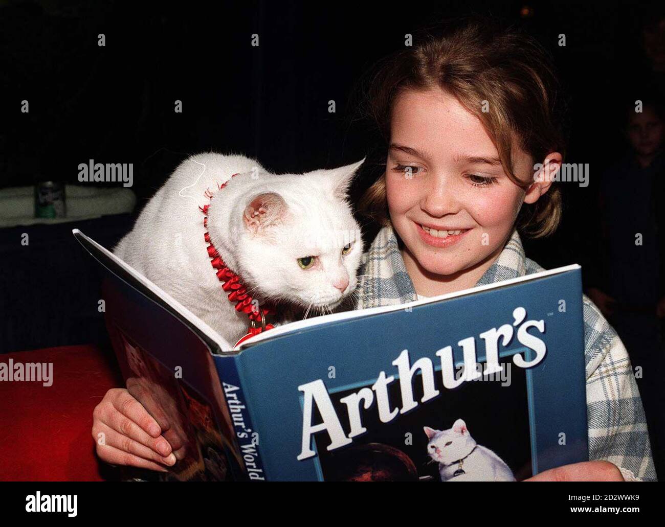 The current arthur the cat hi-res stock photography and images - Alamy