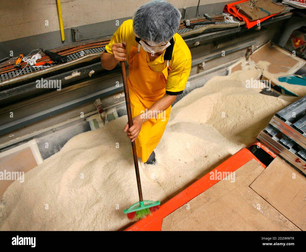 Singapore rice growing hi-res stock photography and images - Alamy