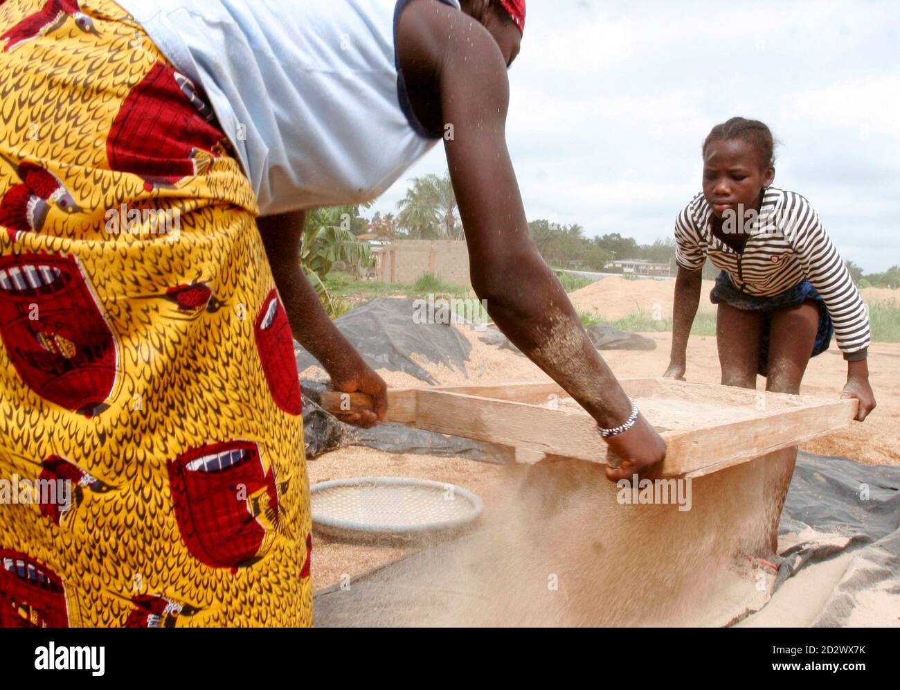 Unhusked rice hi-res stock photography and images - Alamy
