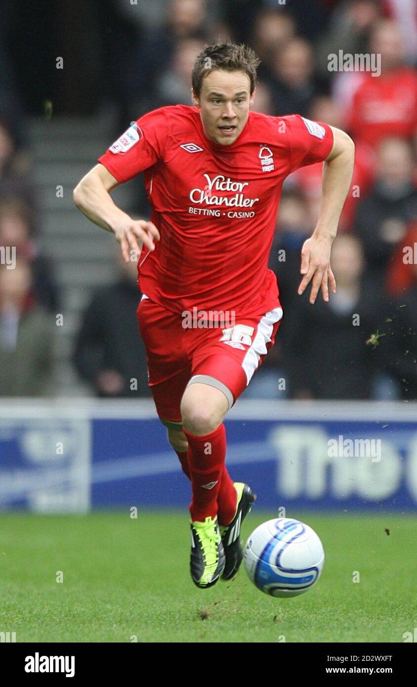 Chris gunter forest hi-res stock photography and images - Alamy